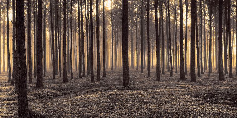 Join the Foto Digital Volume 1 Photo Contest and win Magazine Exposure ...